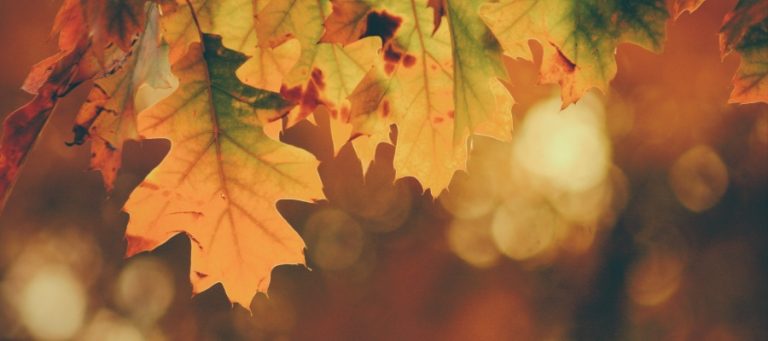 Exploring the Meaning of Our 4 Spiritual Seasons - BahaiTeachings.org