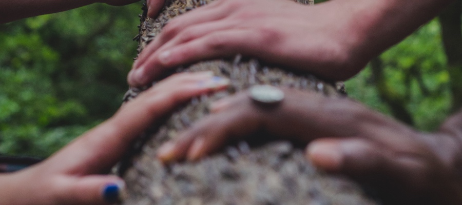 The 7 Stages of Spiritual Growth and Development - BahaiTeachings.org