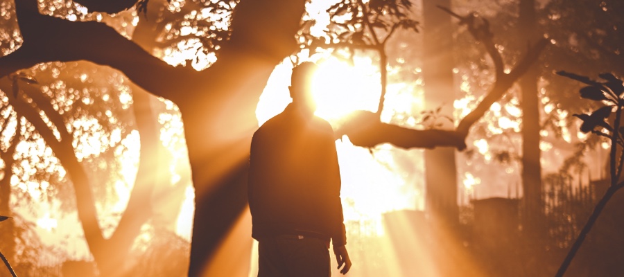 The 7 Stages of Spiritual Growth and Development - BahaiTeachings.org